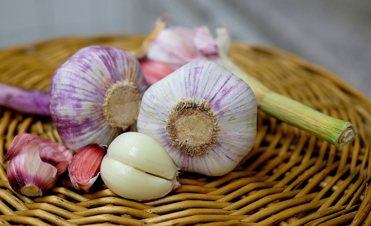 8 Essential Garlic Varieties for You to Plant This Fall - Garden and Happy