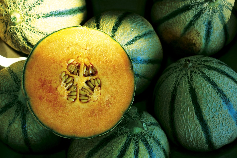 8 Small Melons Packed with Gigantic Flavor - Garden and Happy