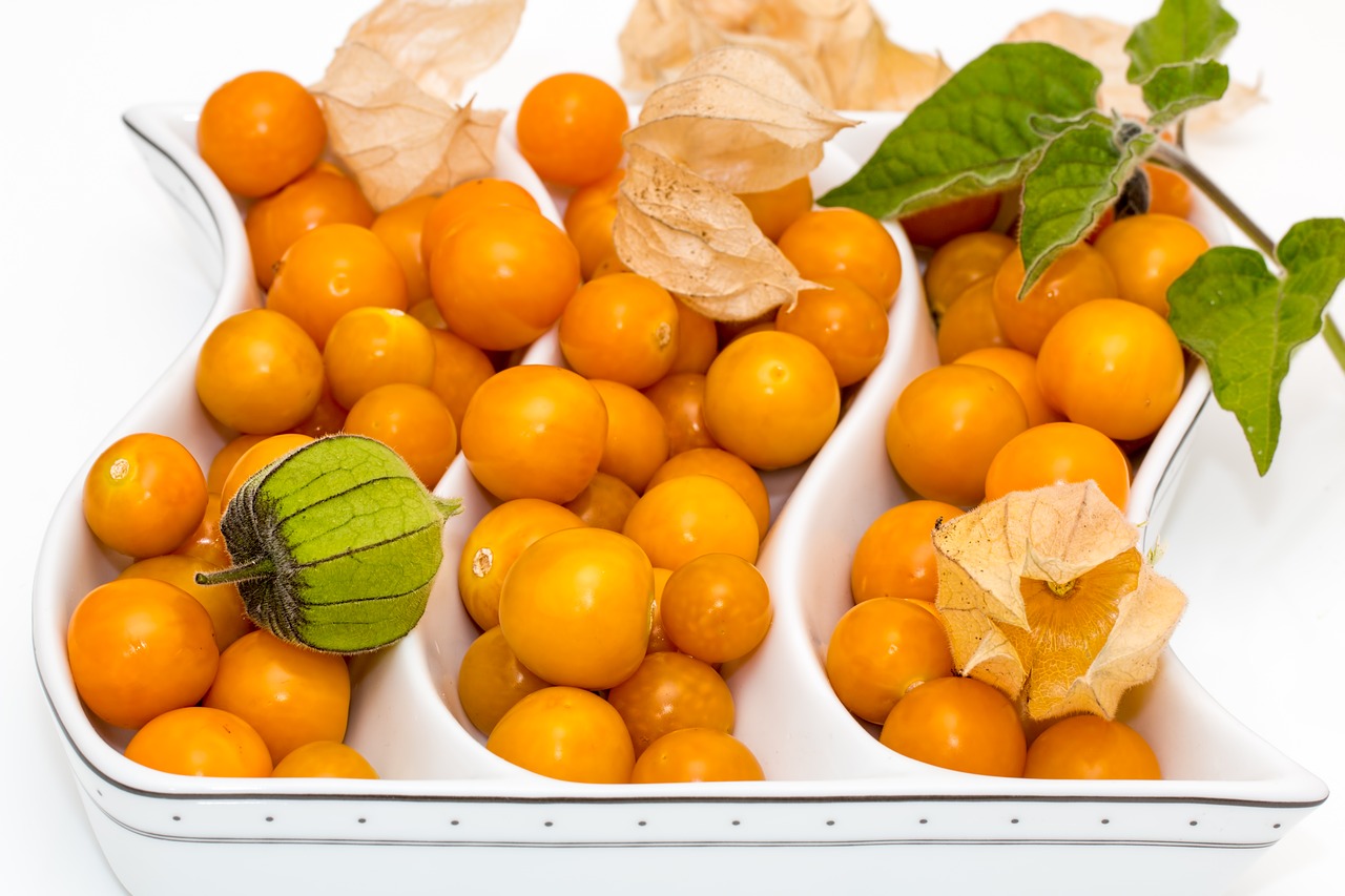 An Easy, 5-Step Guide for Growing Spectacular Ground Cherries - Garden ...
