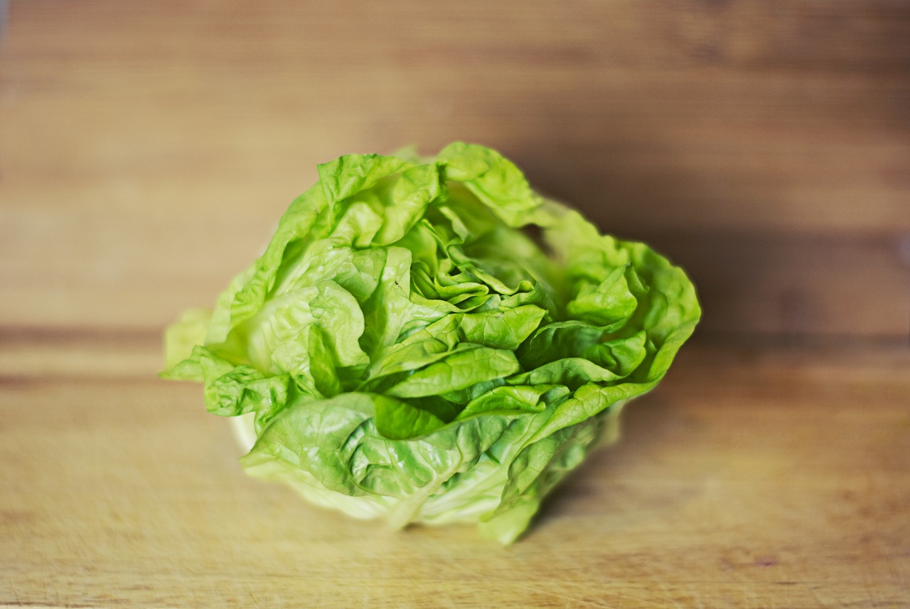 15 of the Best Lettuce Varieties to Grow for Backyard Gardeners ...