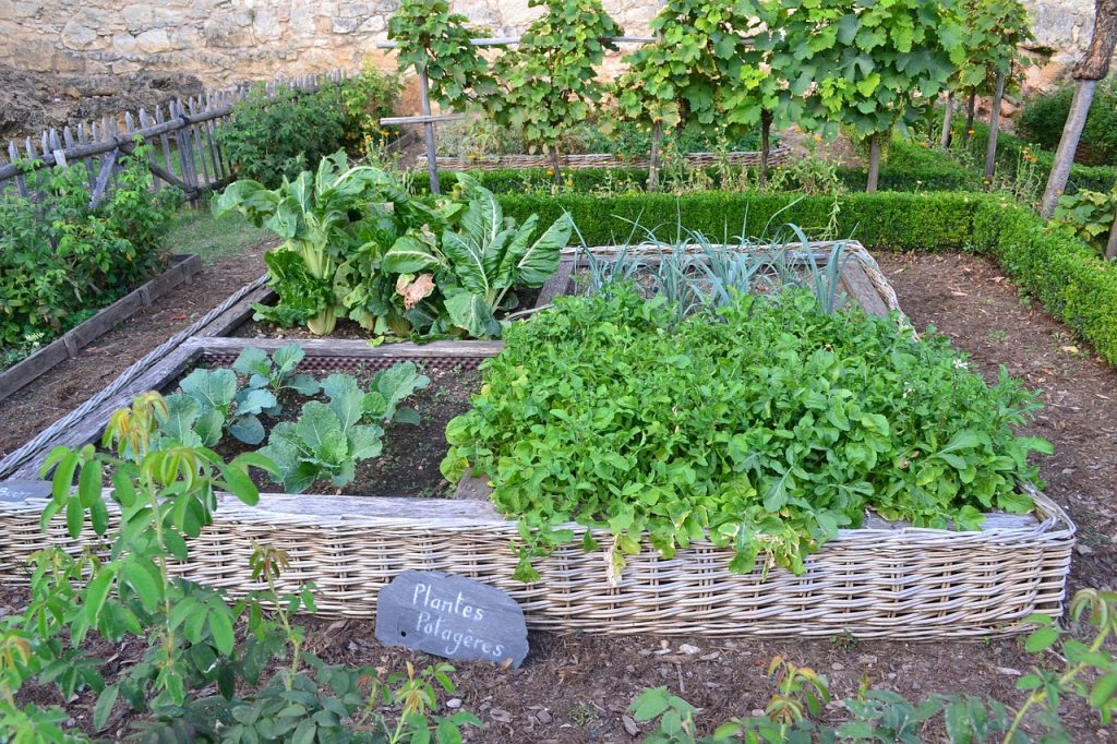 Secrets for Designing Your Own Beautiful French Potager Garden - Garden ...