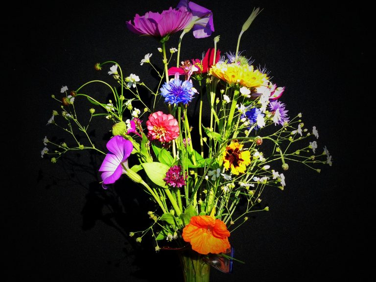 14 Great Reasons Why You Need Nasturtiums in Your Garden, Today ...