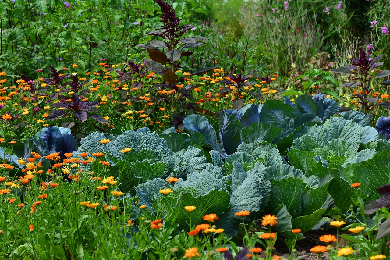 Secrets for Designing Your Own Beautiful French Potager Garden - Garden ...