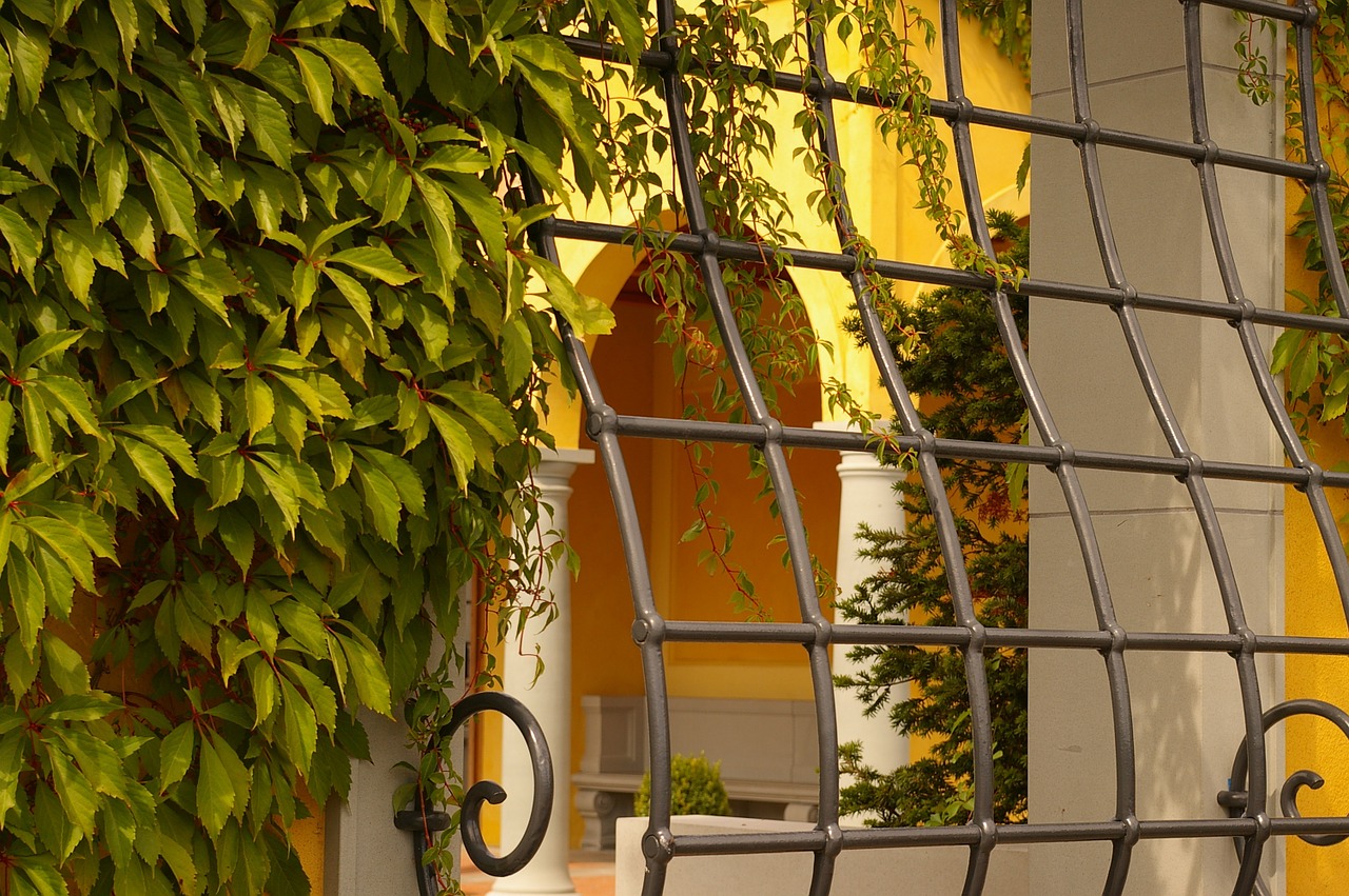 Grow Food Nonna Would Love with an Italian Vegetable Garden Design ...