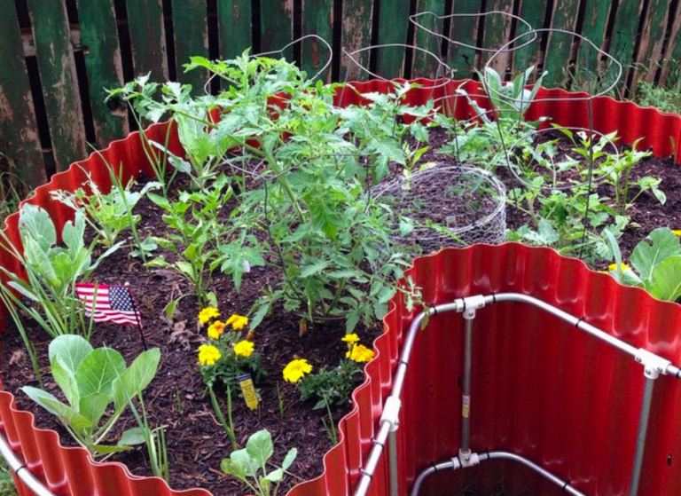 Learn Why a Keyhole Garden is Such a Genius Addition to Your Garden ...