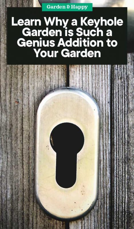 Learn Why a Keyhole Garden is Such a Genius Addition to Your Garden ...
