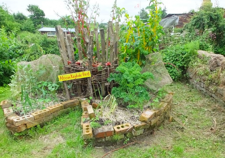 Learn Why a Keyhole Garden is Such a Genius Addition to Your Garden ...