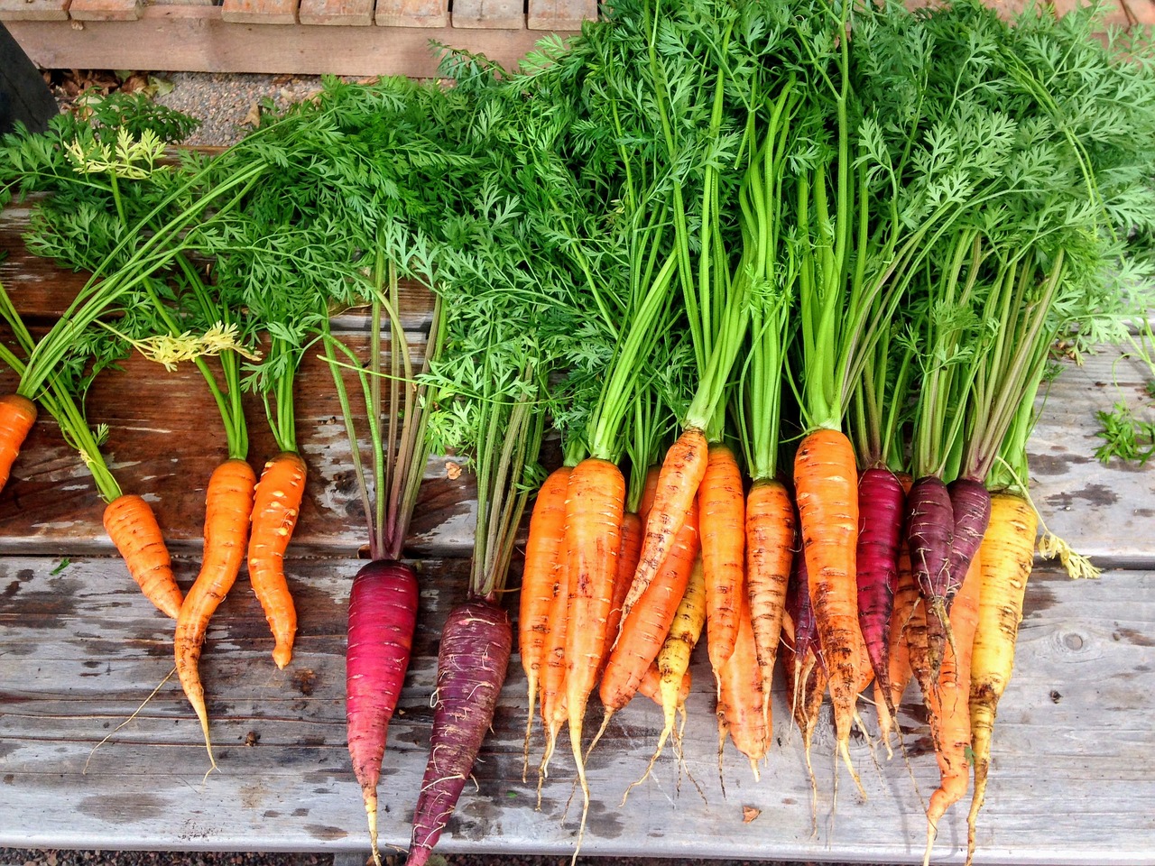 Grow Your Own Rainbow with These 24 Colorful Vegetables - Garden and Happy