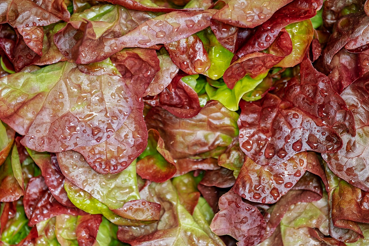 Grow Your Own Rainbow with These 24 Colorful Vegetables - Garden and Happy