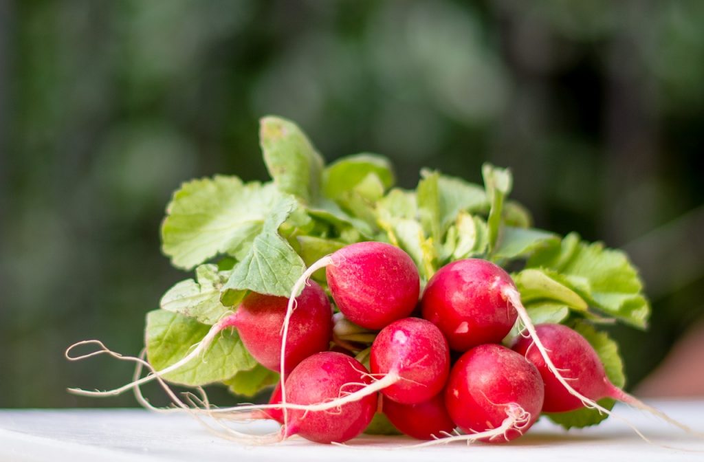17 of the Best Vegetables for Your Raised Bed Garden - Garden and Happy