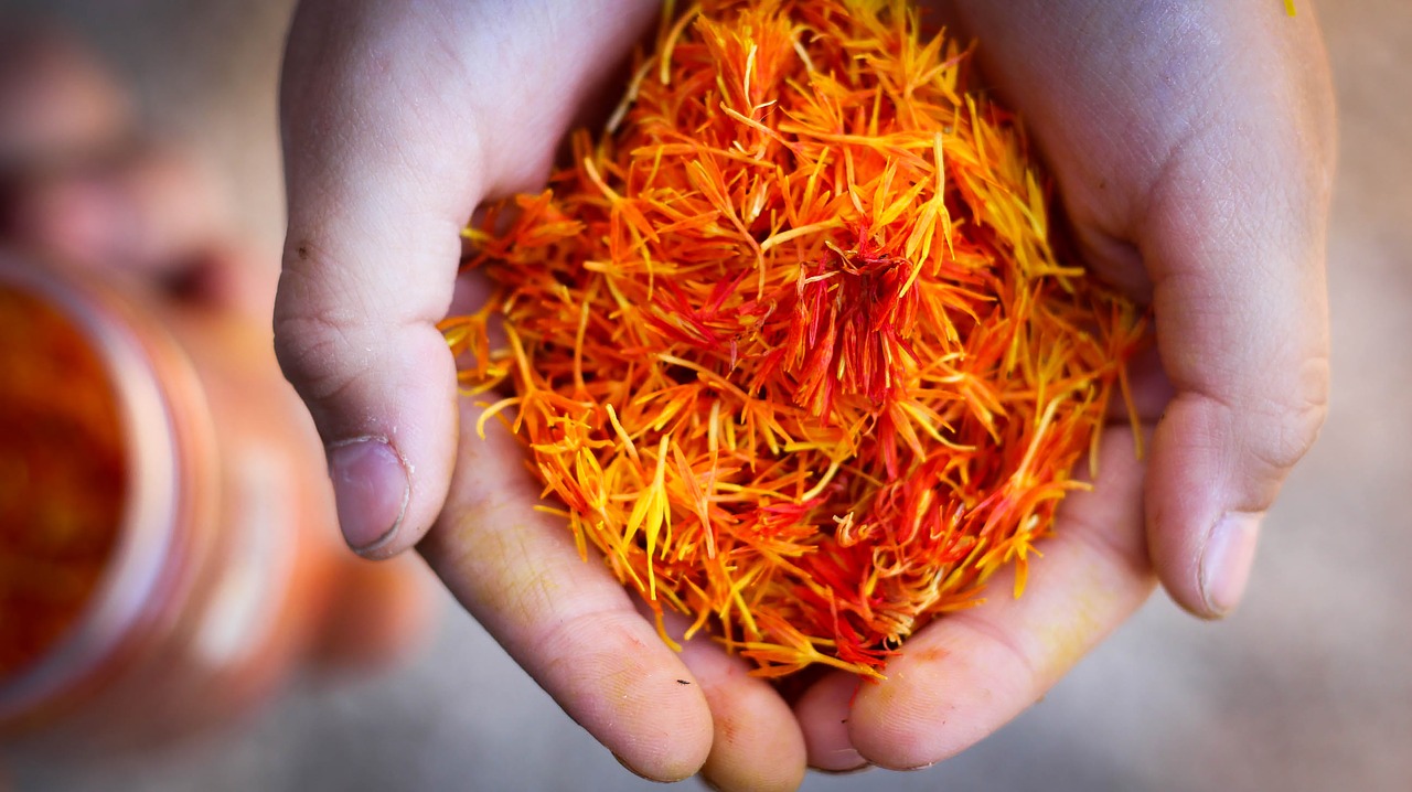 A Definitive Guide on How to Grow Saffron Crocuses - Garden and Happy