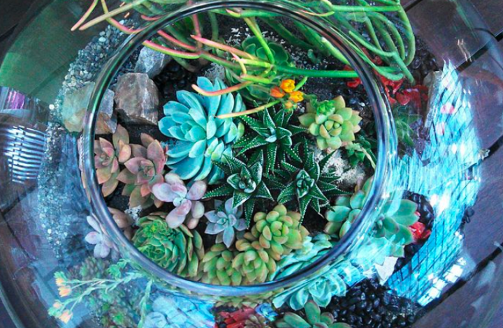 12 Extraordinary DIY Terrarium Ideas for You to Try at Home - Garden ...
