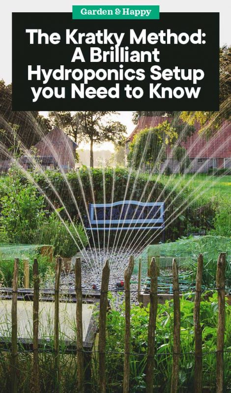 The Kratky Method: A Brilliant Hydroponics Setup you Need to Know ...