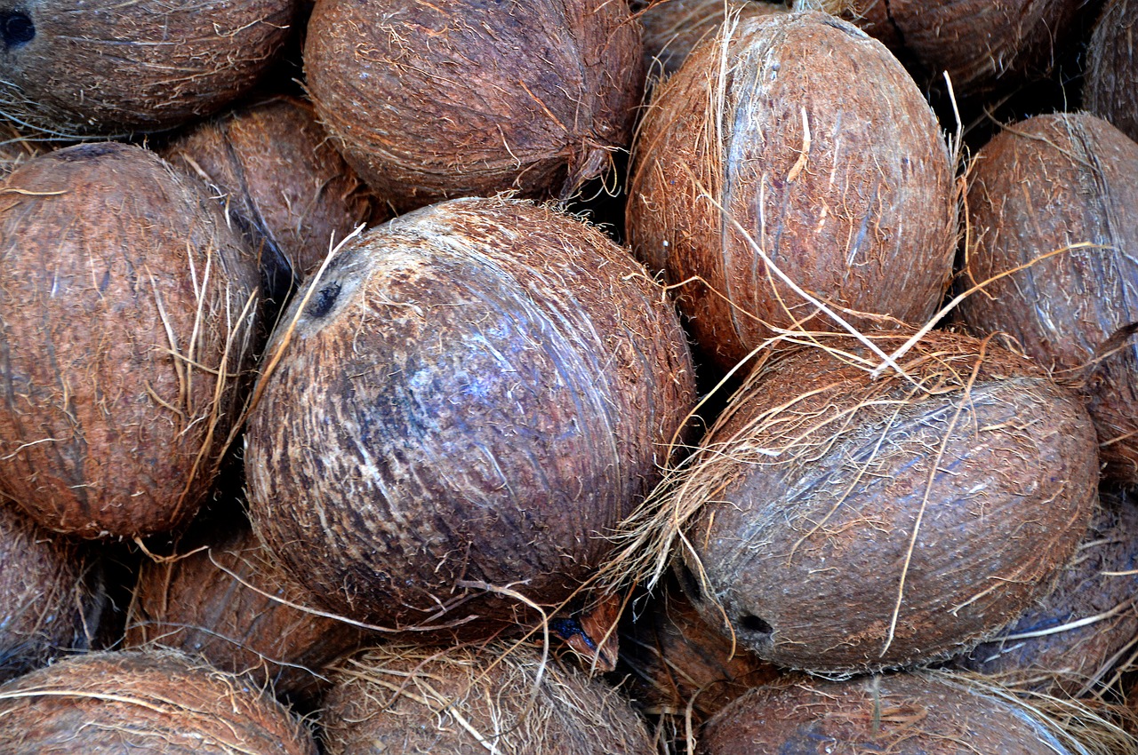 Coconut Coir: An Effective and Inexpensive Growing Medium - Garden and ...