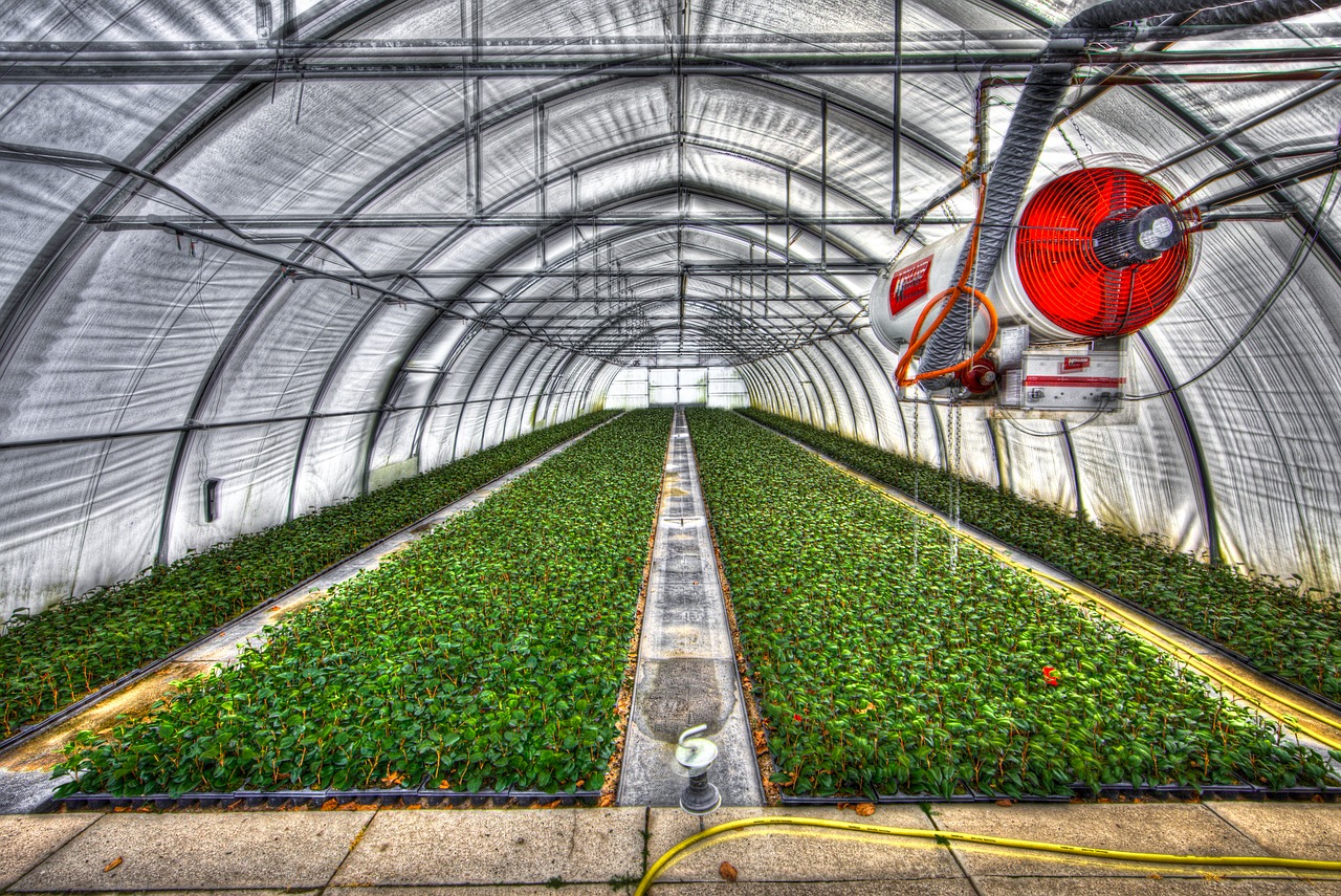 How to Prevent Nitrogen Toxicity Before it Kills Your Plants - Garden ...