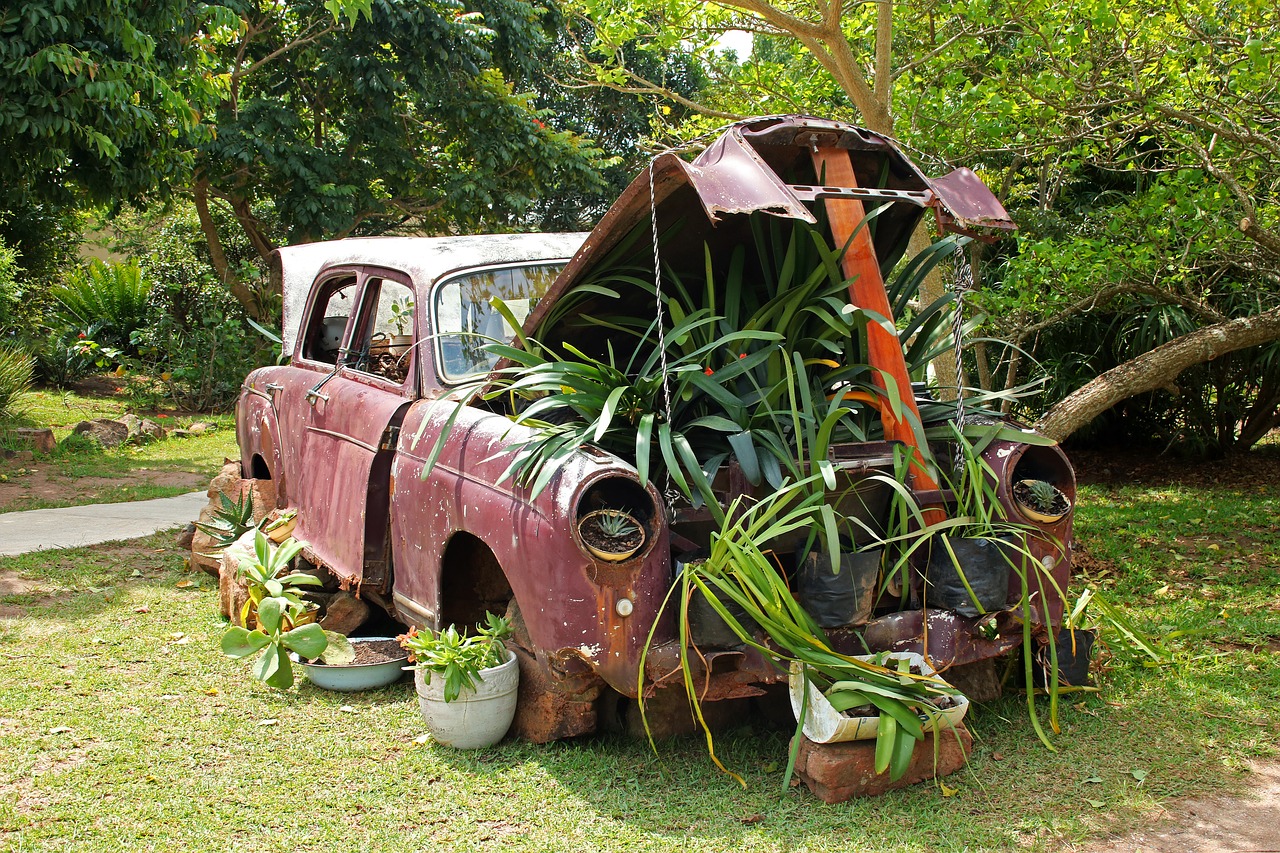 How to Grow a Beautiful Parlor Palm Tree in Your Own Home - Garden and ...