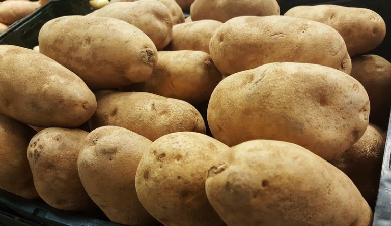 A Detailed Guide to Growing Potatoes Perfectly - Garden and Happy