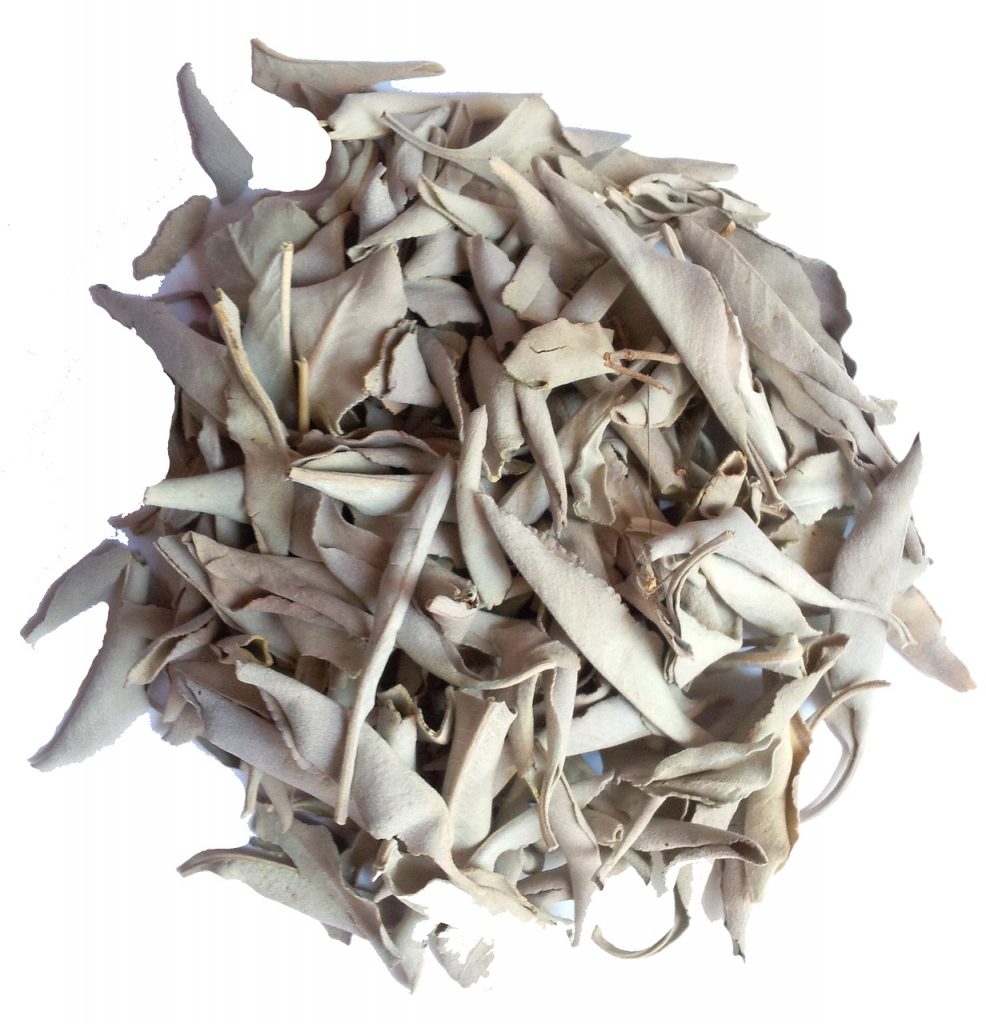 All There Is to Know About the Wonderful White Sage Plant - Garden and ...