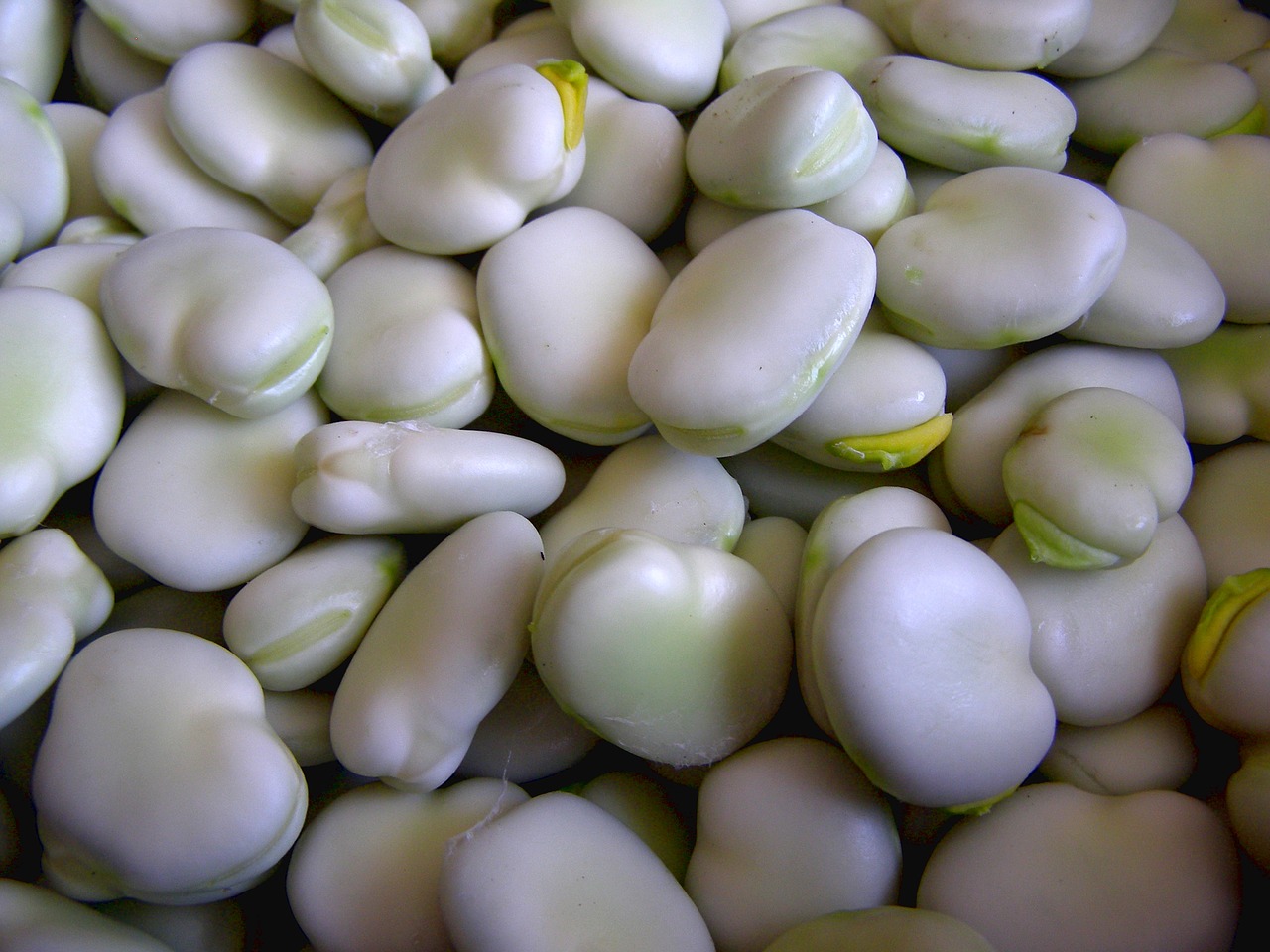 Winter Gardening: 22 Vegetables You Can Grow in the Off-Season - Garden ...