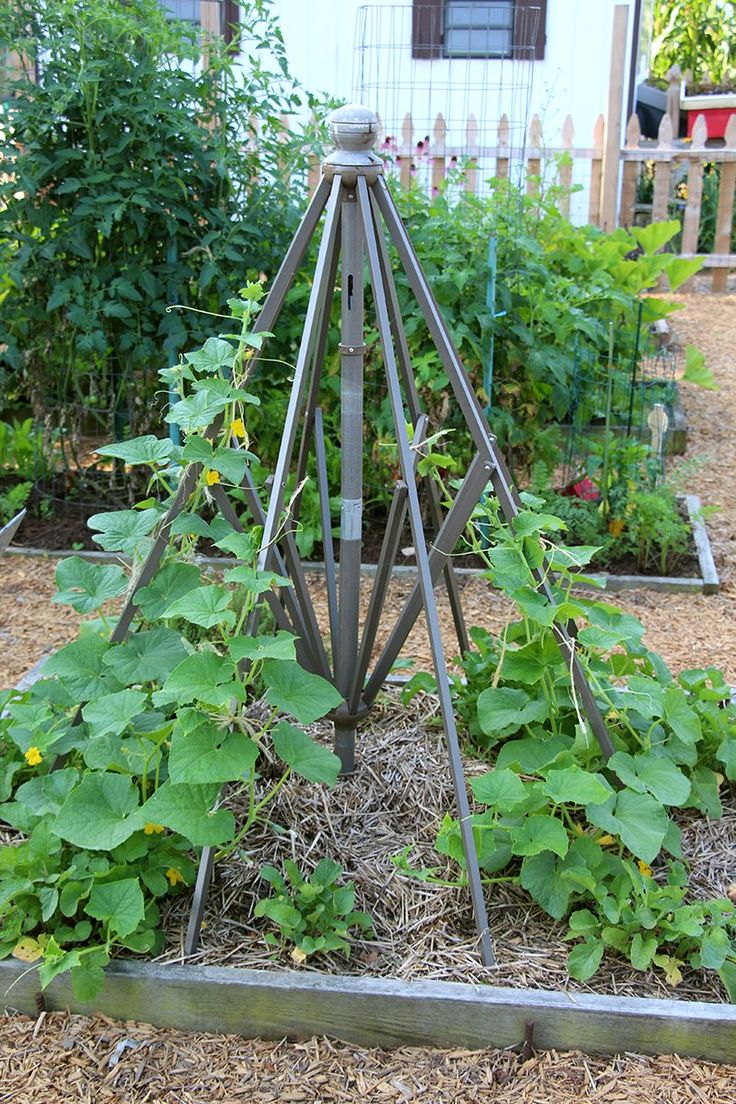 10 Amazing Upcycled Trellis Ideas to Add Interest to Your Garden ...