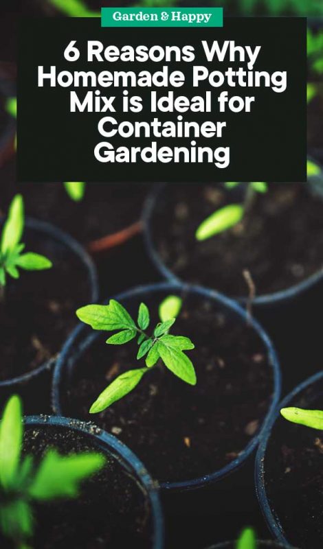 6 Reasons Why Homemade Potting Mix is Ideal for Container Gardening ...