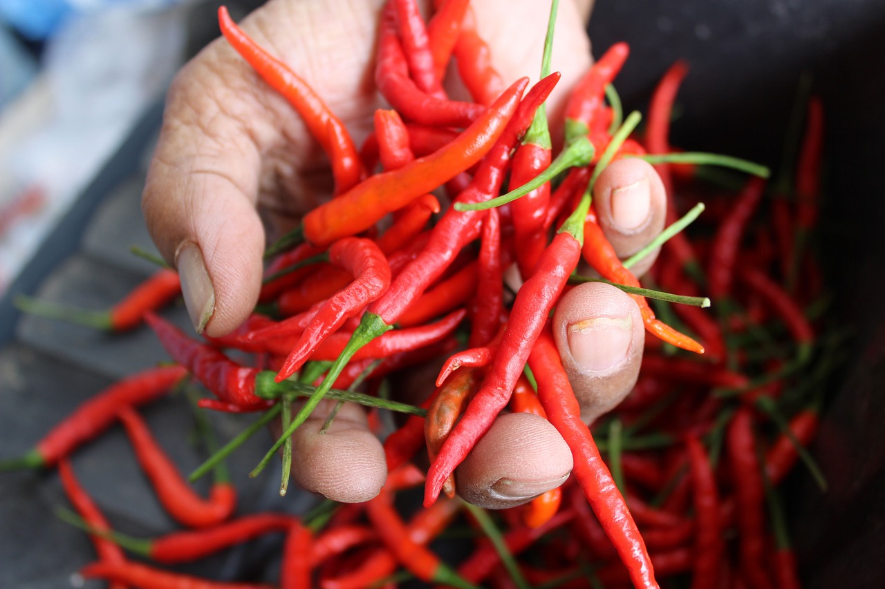 How to Dry Peppers - Try These 3 Useful Methods - Garden and Happy