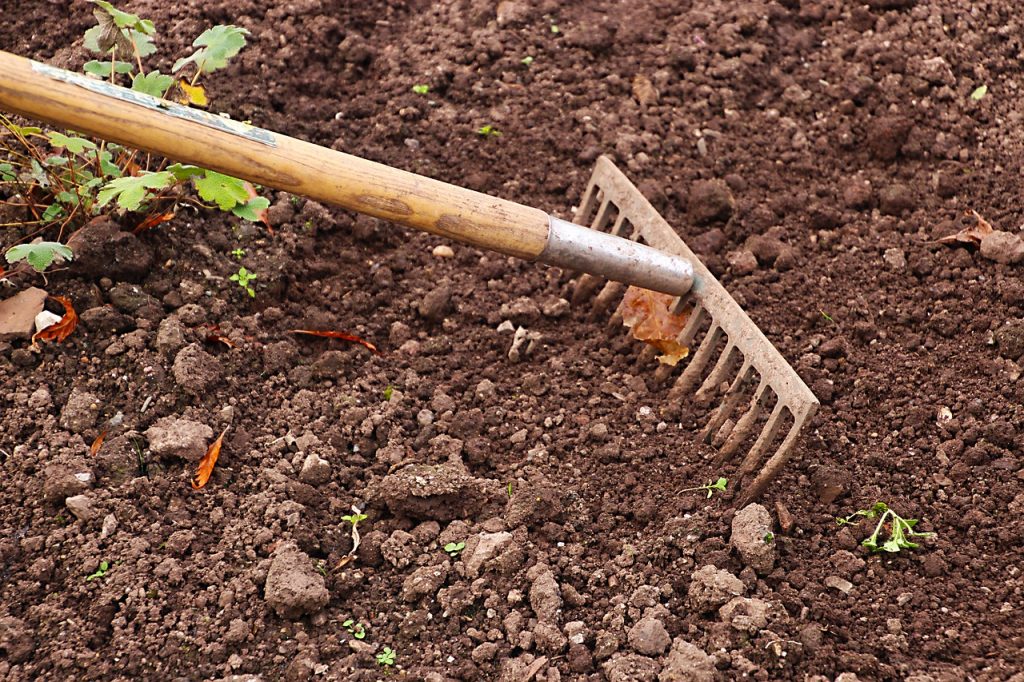The Best Way to Prep Your Seedbed for the New Growing Season - Garden ...