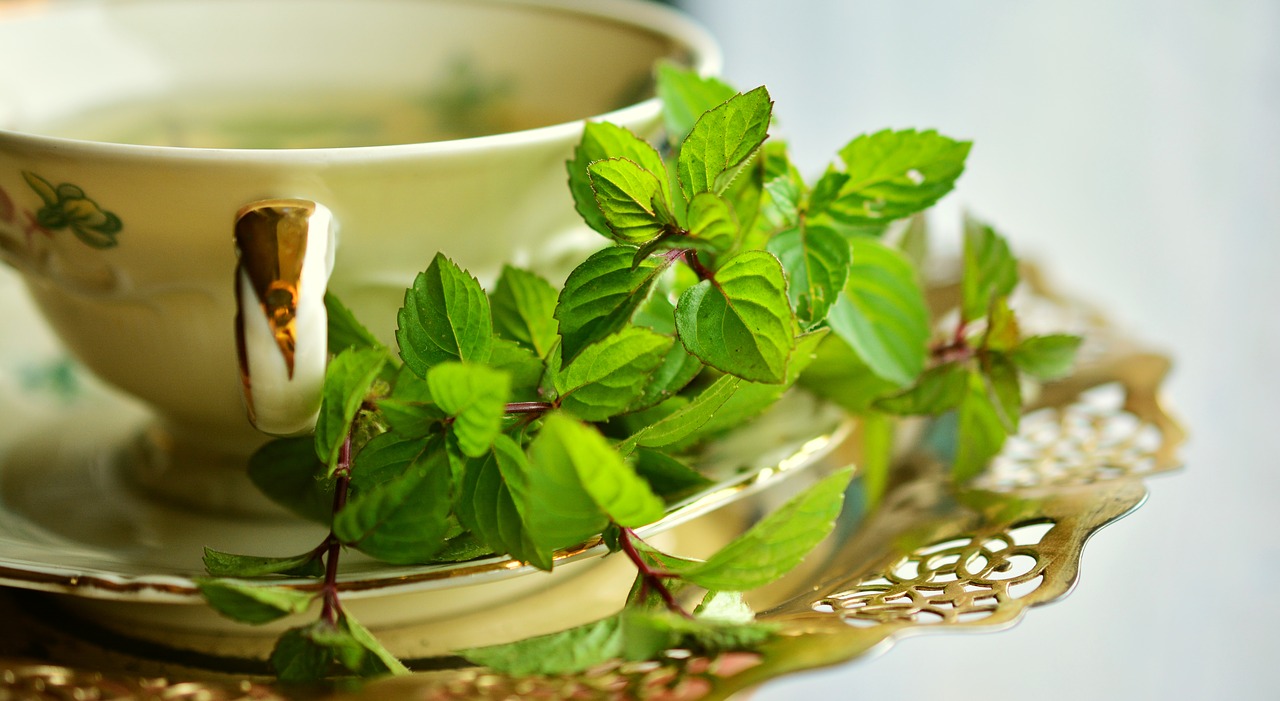 28 Wonderful Perennial Herbs to Grow in Your Medicinal Herb Garden ...