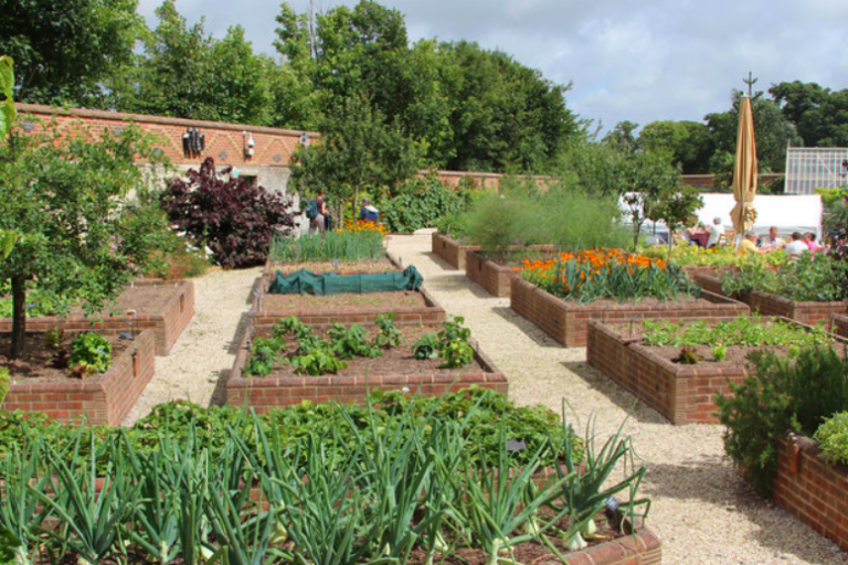 25 Brilliant Vegetable Garden Layout Ideas for Beginners - Garden and Happy