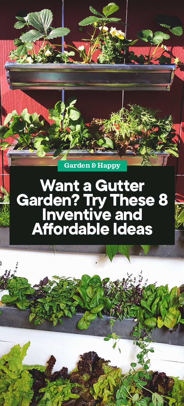 Try These 8 Inventive and Affordable Gutter Garden Ideas - Garden and Happy