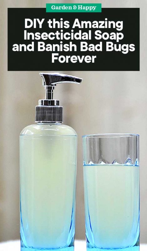DIY Insecticidal Soap to Banish Bad Bugs Forever - Garden and Happy