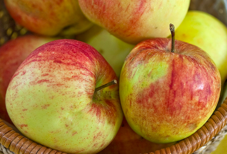 22 of the Best Heirloom Apples Available to Grow Today - Garden and Happy