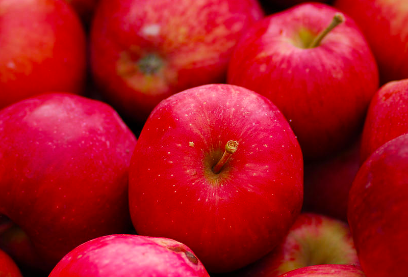 22 of the Best Heirloom Apples Available to Grow Today - Garden and Happy