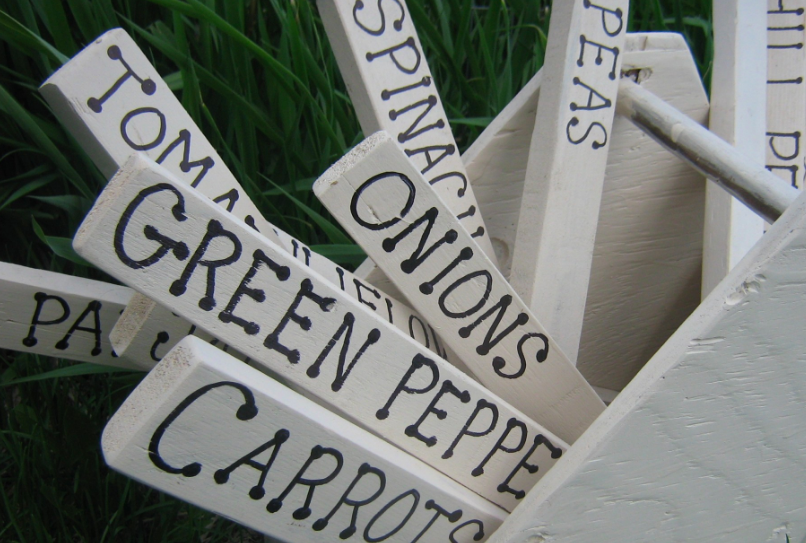 How to Make DIY Plant Labels with Your Kids in 4 Easy Steps - Garden ...