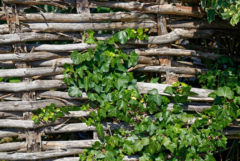 How to Build a Perfect Wattle Fence Starting Today - Garden and Happy
