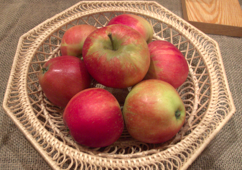 22 of the Best Heirloom Apples Available to Grow Today - Garden and Happy