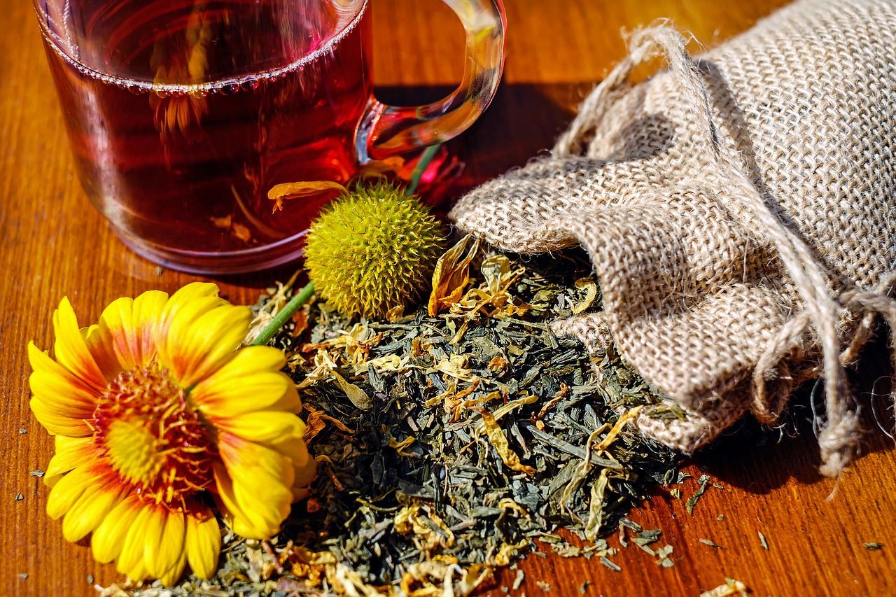How to Grow Arnica Plant in Your Garden - Garden and Happy