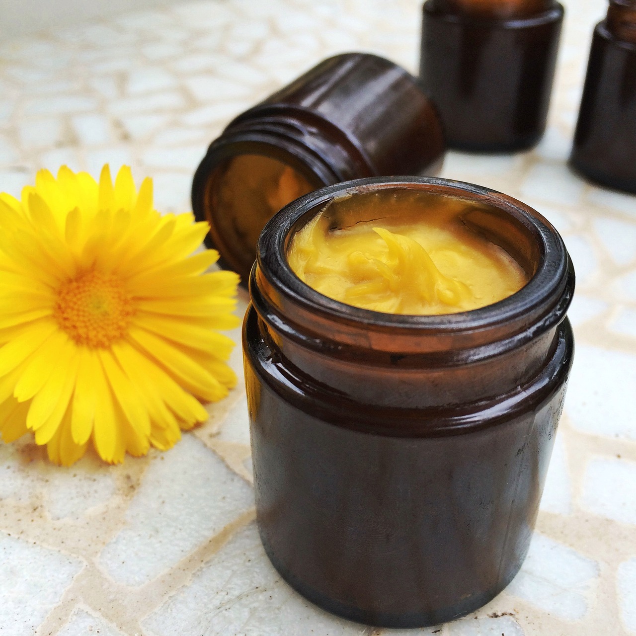 How to Grow Arnica Plant in Your Garden - Garden and Happy