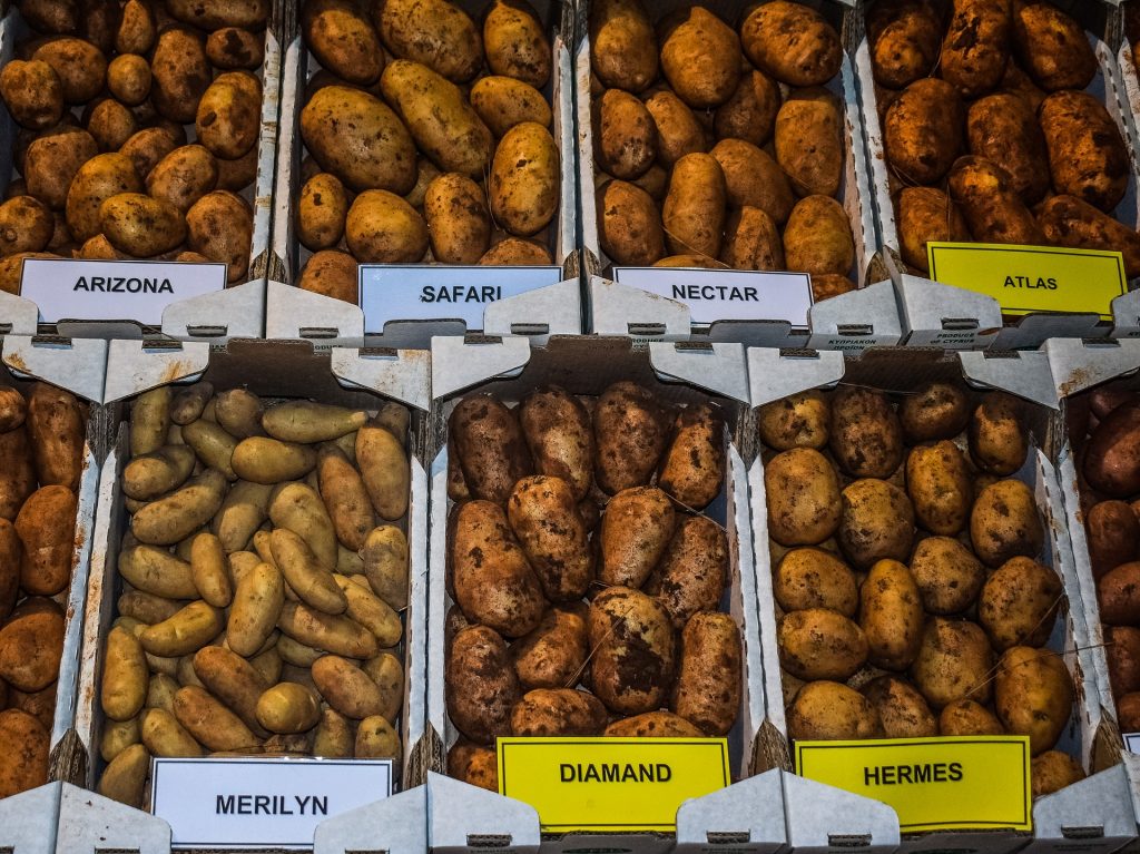 15 Most Delicious Potato Varieties to Grow in Your Garden - Garden and ...