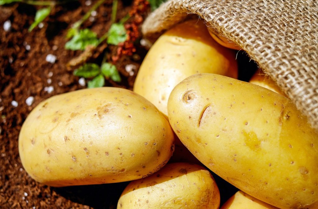 15 Most Delicious Potato Varieties to Grow in Your Garden - Garden and ...