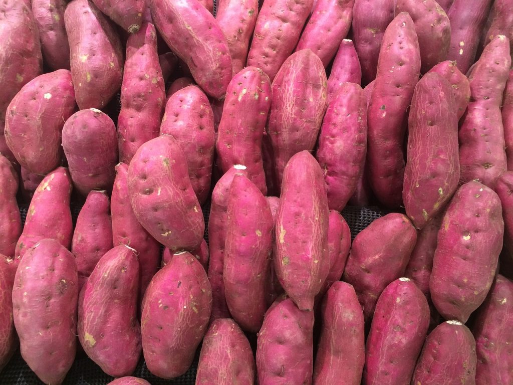 15 Most Delicious Potato Varieties to Grow in Your Garden - Garden and ...