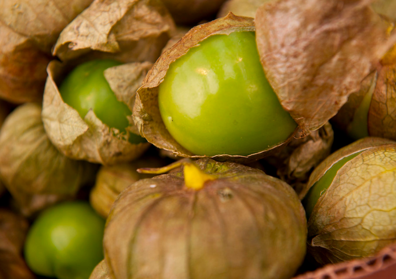 A Handy Guide to Growing Tomatillos in Your Garden - Garden and Happy