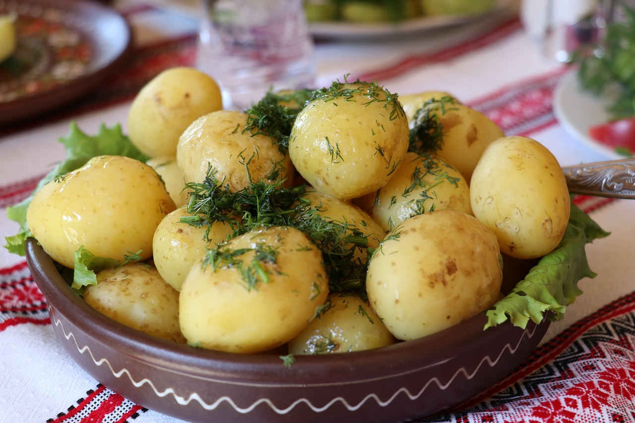 Which of These Dill Plant Varieties Is Right for You? - Garden and Happy