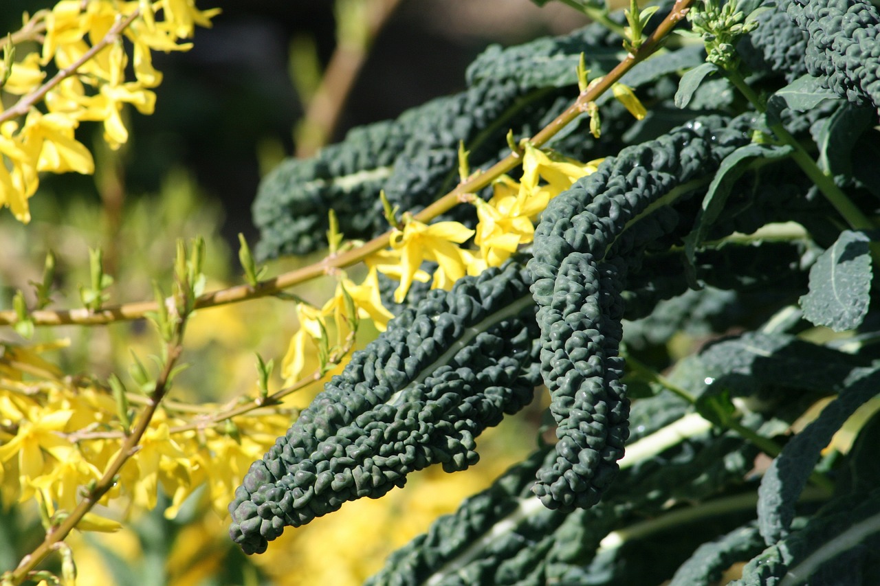 Why Foliar Feeding is the Best Way to Keep Plants Healthy - Garden and ...