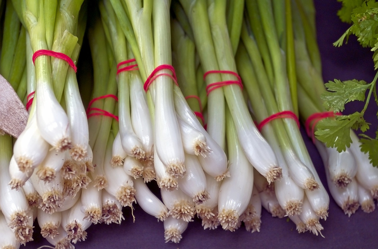 How to Start Growing Green Onions - Garden and Happy