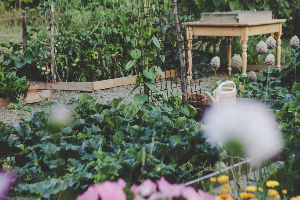 How to Plan a Prolific Family Food Garden (for 2, 4, or More) - Garden ...