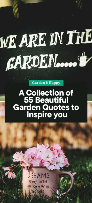 A Collection of 55 Beautiful Garden Quotes to Inspire you - Garden and ...