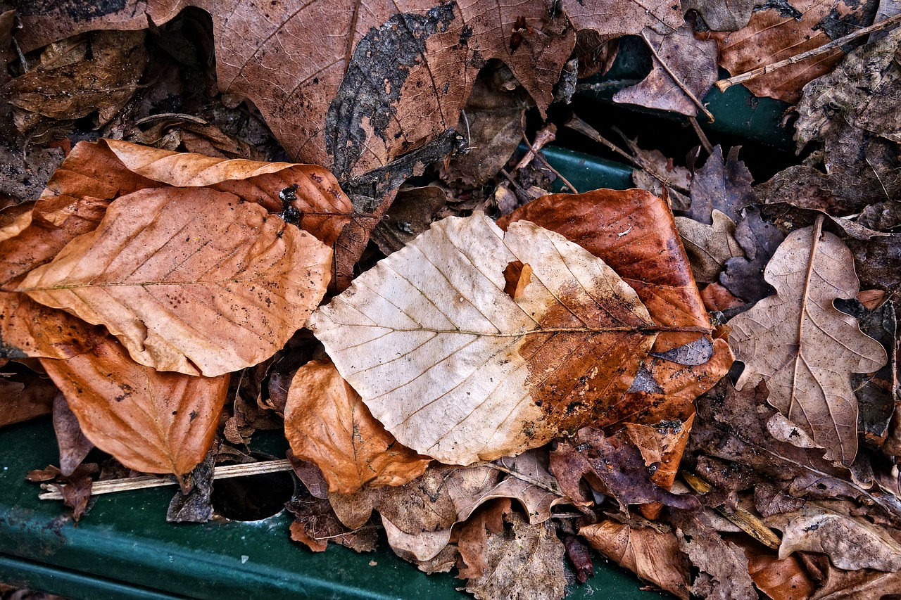 How to Build Your Own Homemade Compost Bin in 3 Easy Steps - Garden and ...