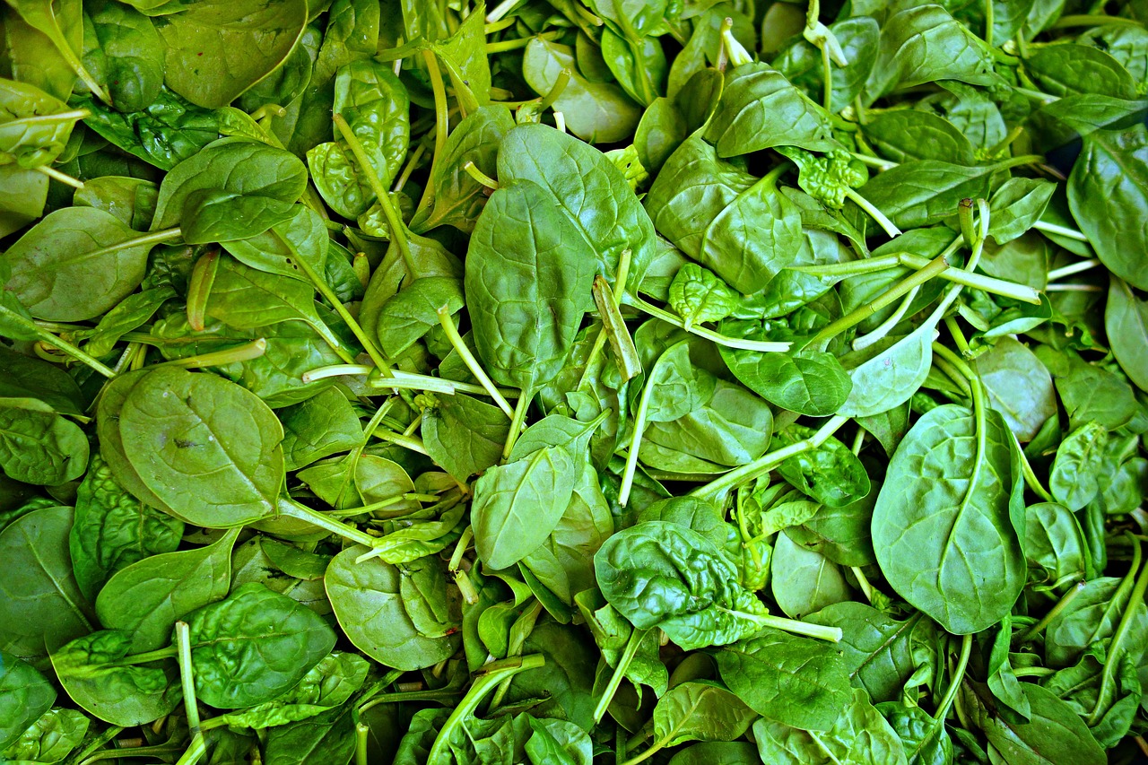 Choosing the Right Spinach Plant Varieties for Your Growing Zone ...