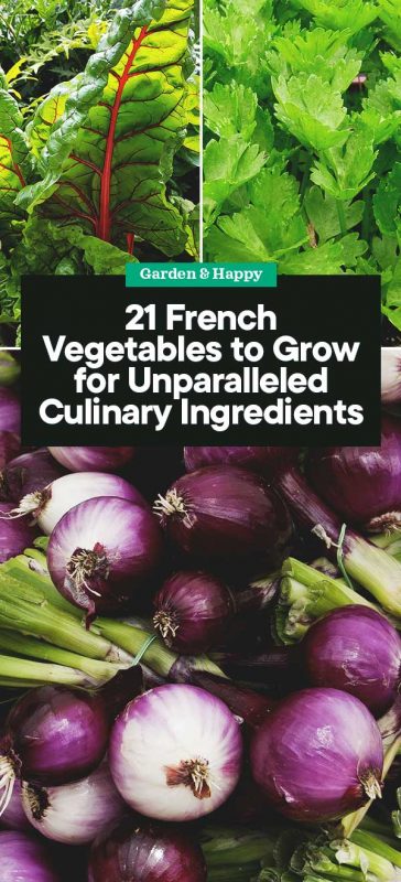 21 French Vegetables to Grow for Culinary Ingredients - Garden and Happy